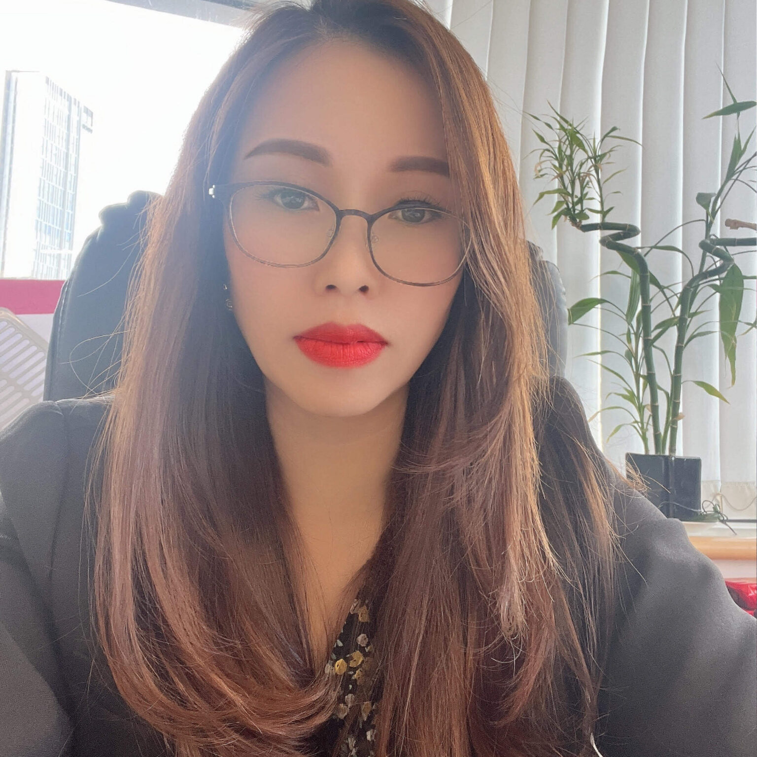 About Our Professional Immigration Solicitors in New Zealand